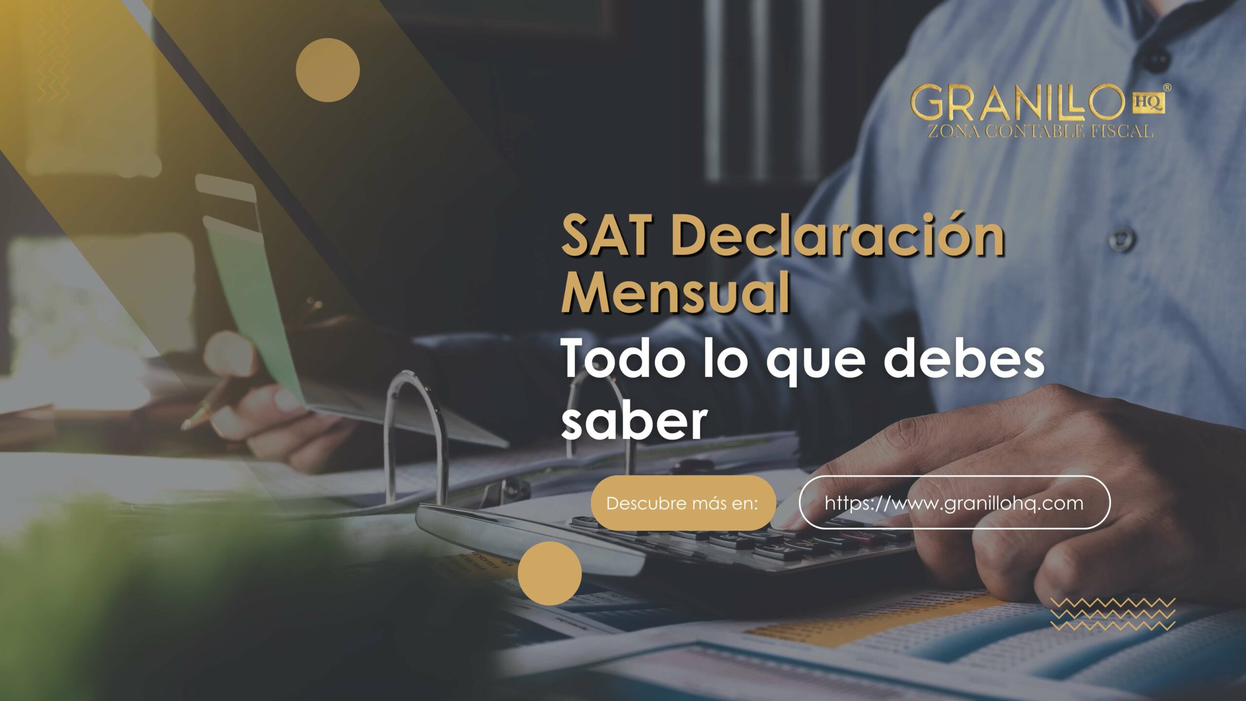 SAT Declaración Mensual: todo lo que necesitas saber